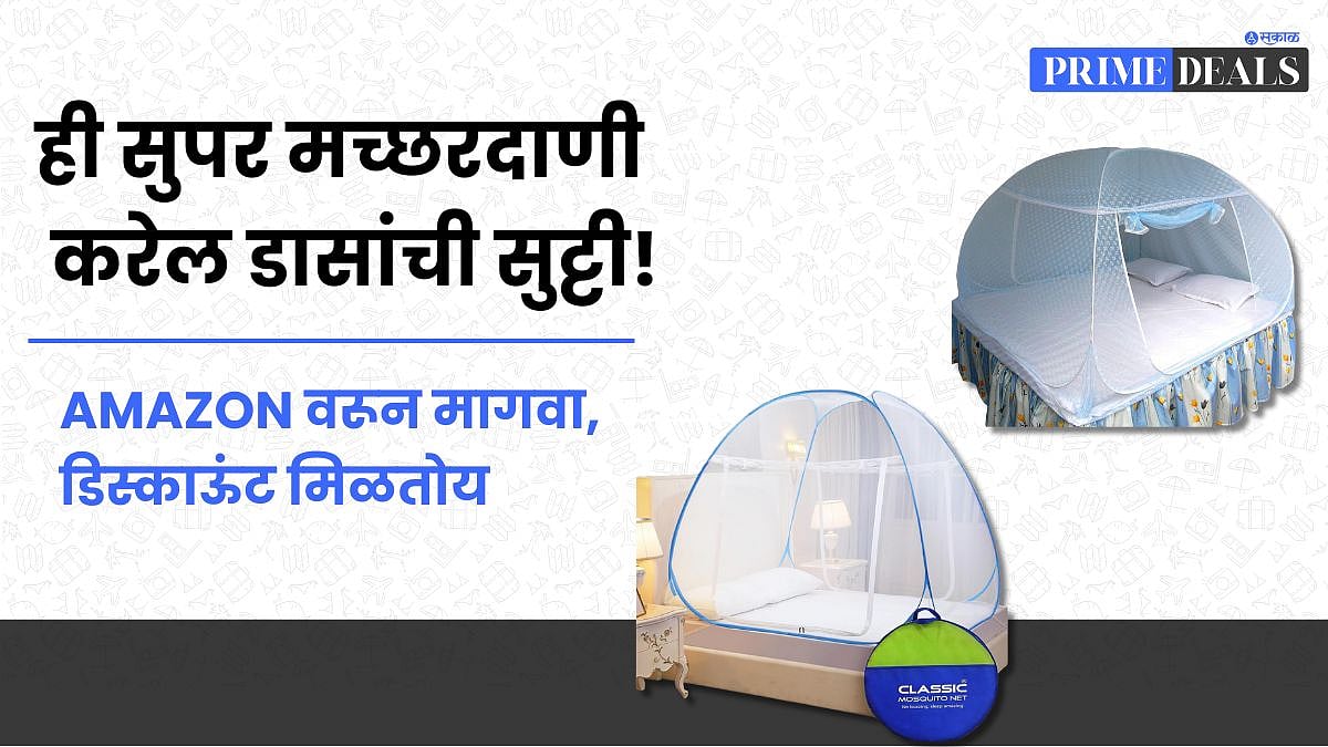 बेडसाठी बेस्ट मच्छरदाणी; Amazon वर मिळतोय मोठा डिस्काउंट! Best Mosquito ...