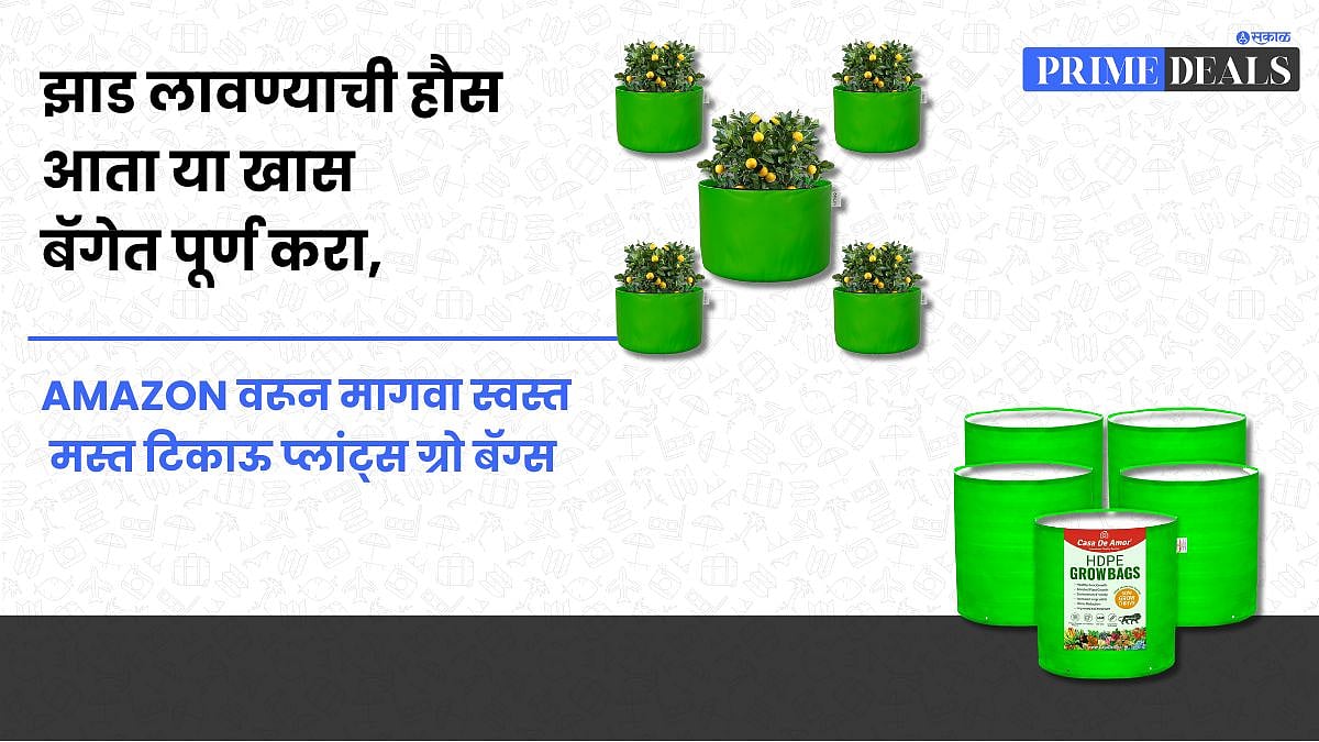 टिकाऊ आणि स्वस्त प्लांट ग्रो बॅग्स | Best Plant Grow Bags on Amazon for ...