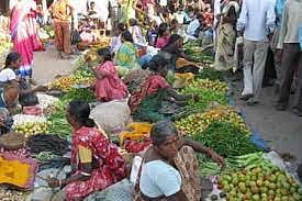वसमत आठवडी बाजारात बीट तर झेडपीच्या मैदानात भाजीपाल्याची दुकाणे- अरविंद ...