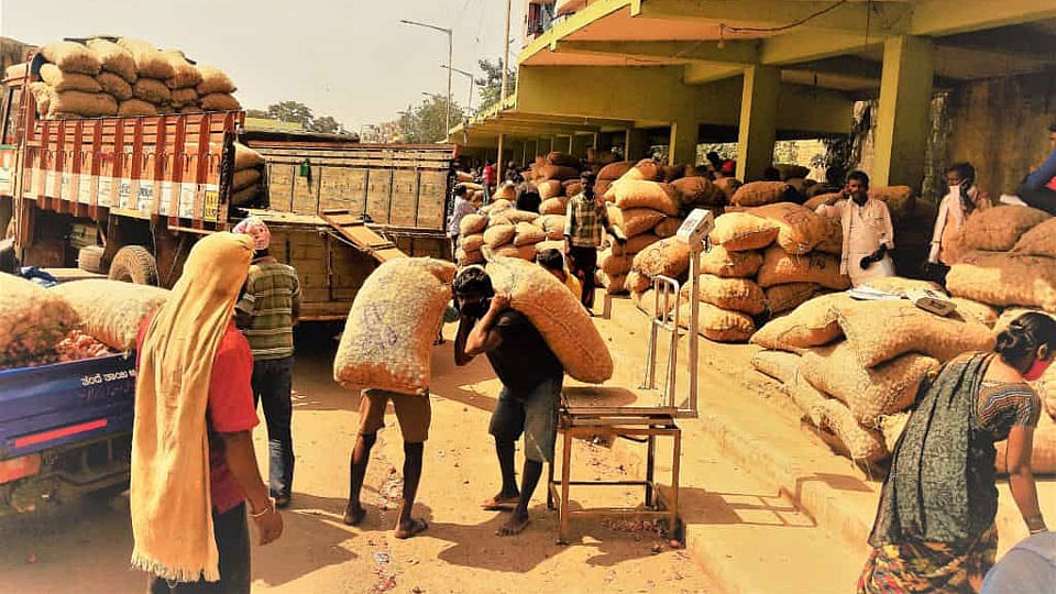 ‘जिसका माल, उसका हमाल’च्या अंमलबजावणीस देशात प्रारंभ