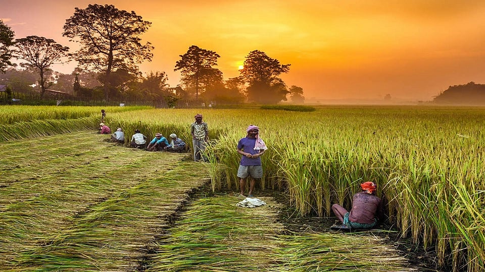 Farmer Helpline : कृषी यंत्रणेमार्फत नियंत्रण कक्ष कार्यान्वित; ई-मेल, व्हॉट्सॲपसह मोबाईल, टोल ...