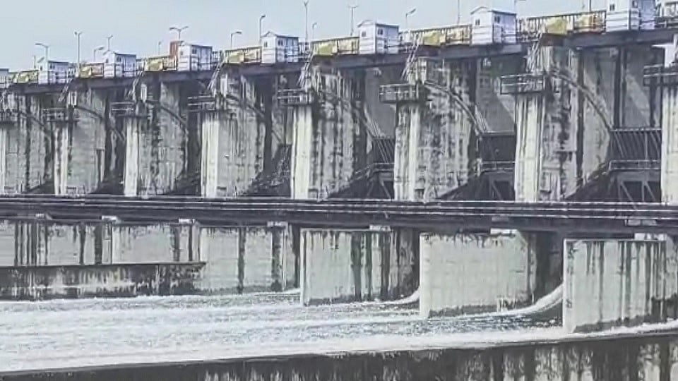 इसापुर धरणाचे सात दरवाजे उघडले, पैनगंगेत पाण्याचा विसर्ग