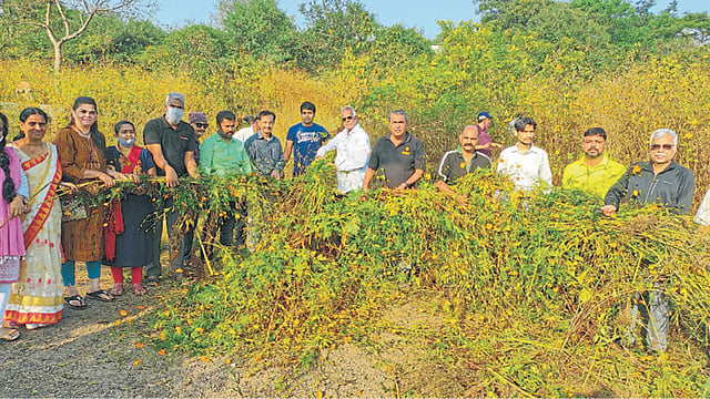 परदेशी तण उच्चाटनाची मोहीम; तळजाई टेकडीवर प्रारंभ | Taljai Hill