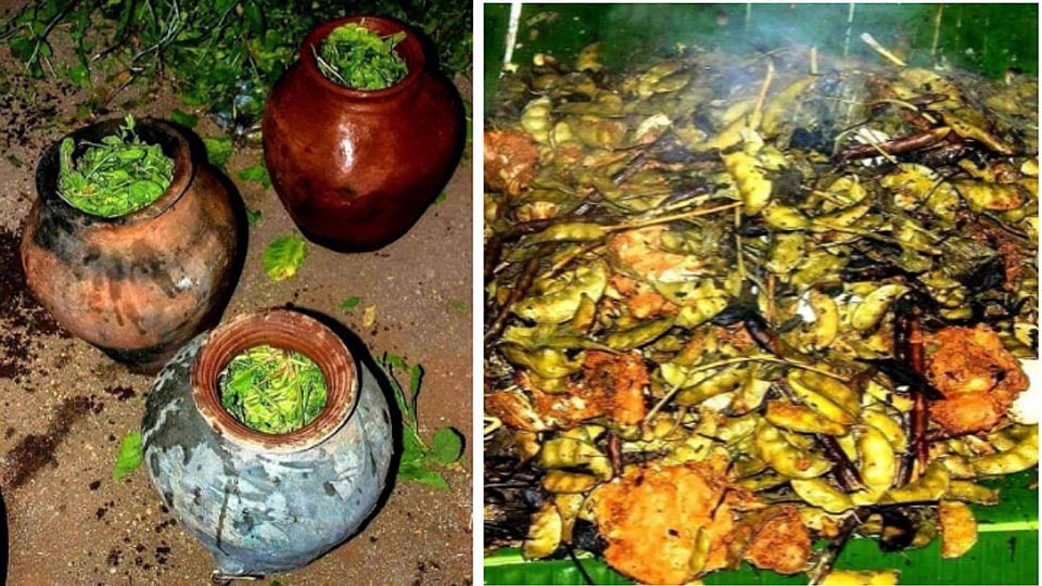 रायगड जिल्ह्यात रंगू लागल्या पोपटी पार्ट्या | Popati Party