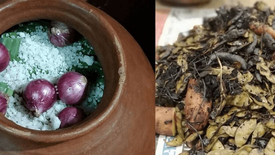 पोपटी पार्टी घरी कशी कराल? 'या' टिप्स फॉलो करा|Popti Party At Home