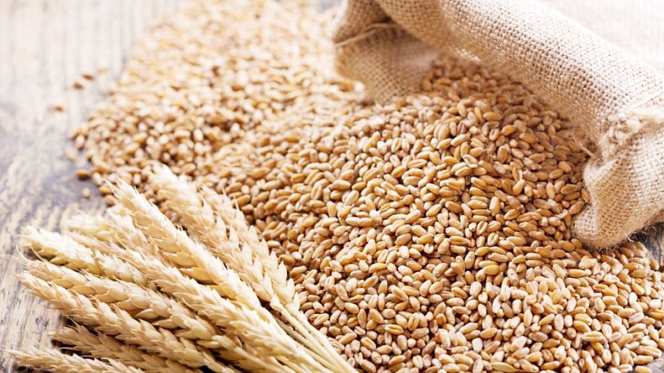 Wheat Flour: गहू अन् पीठाच्या किंमती वाढल्या! सरकारनं घेतला मोठा निर्णय ...