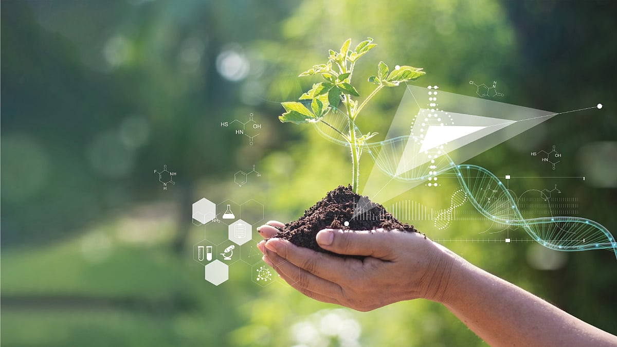 Environmental Services Scheme : राज्यात ७,५०० शाळांत पर्यावरण सेवा योजना; आठवड्यातून तीन तास ...