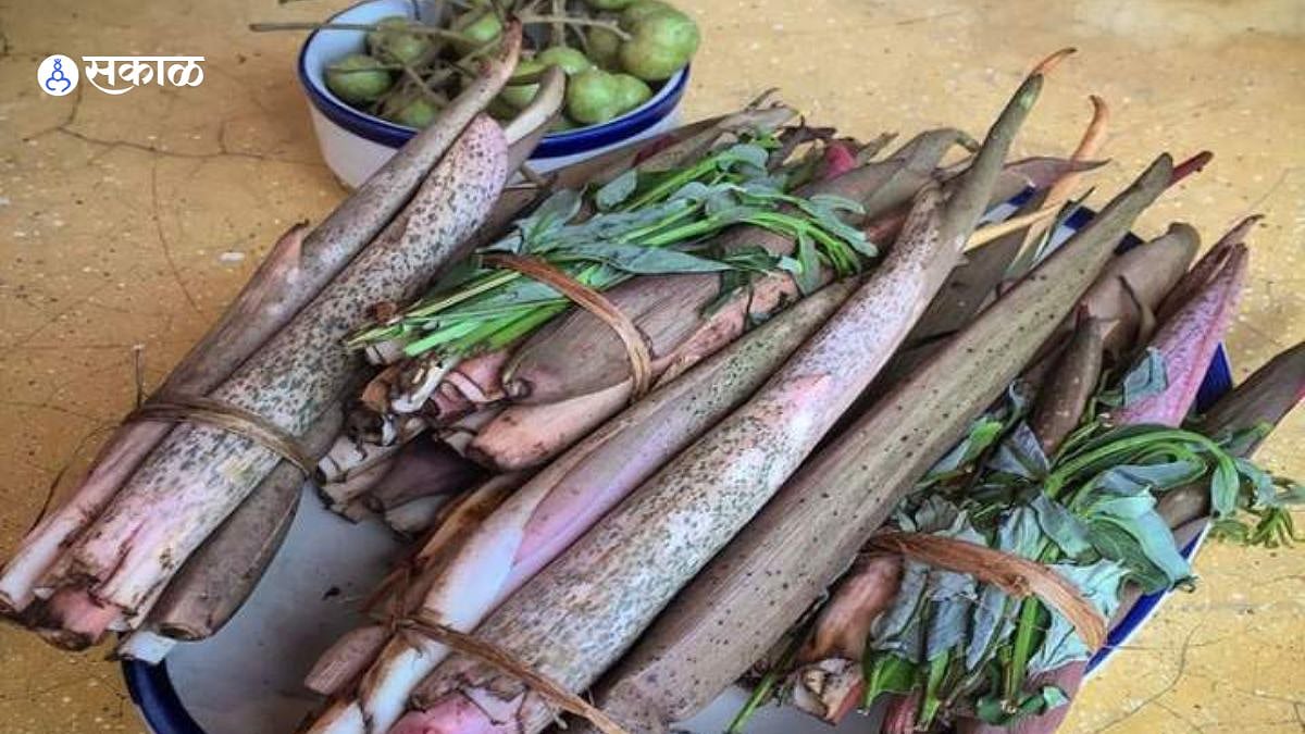 Ranbhaji: रानभाजी शेवळी भाजी कशी करतात?