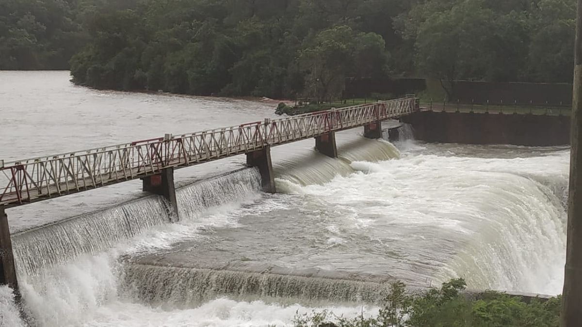 Radhanagari Dam : राधानगरी पन्नास टक्के भरले; जिल्ह्यातील इतर धरणांतील ...