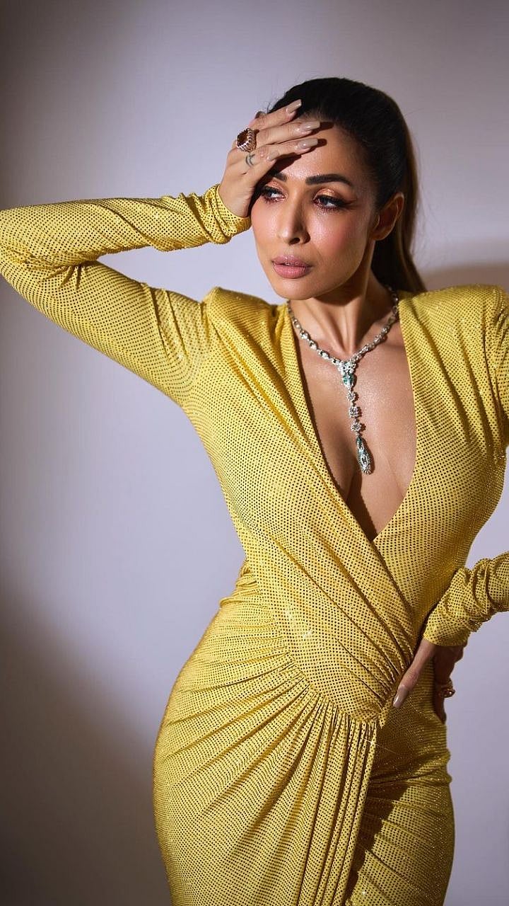 Malaika Arora : भारी! चाहते म्हणाले तुच दिलाची राणी