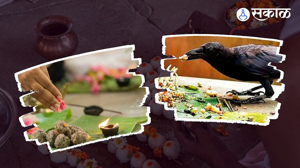 Pitru Paksha : आपण अर्पण केलेले अन्न पितरांना मिळत कसं? धर्म अभ्यासक ...