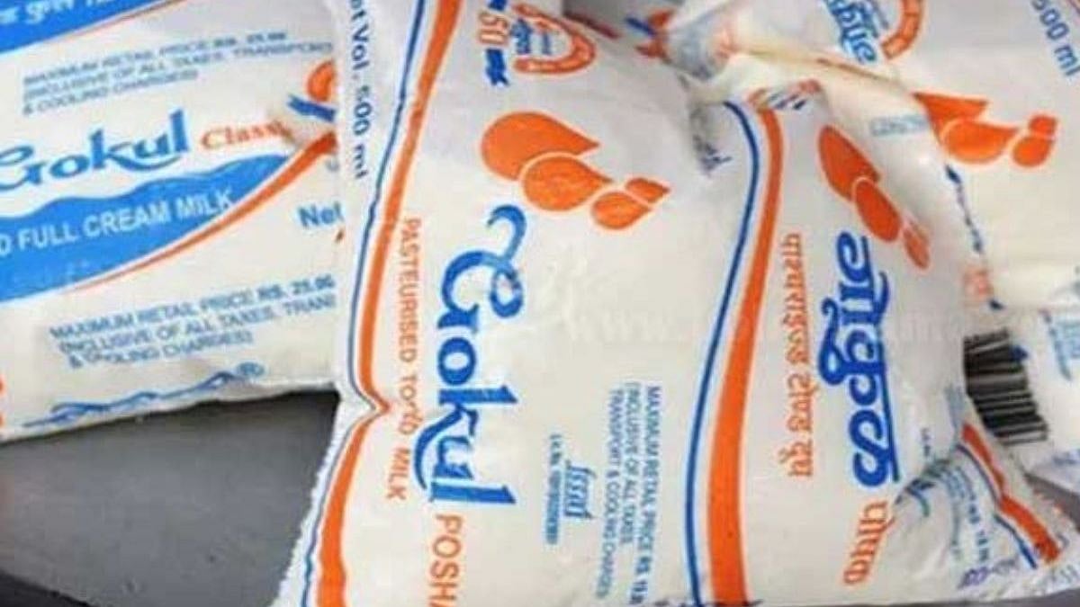 Gokul Milk: गोकुळच्या दूध दरात पुन्हा वाढ! इतक्या रुपयांनी महागलं दूध
