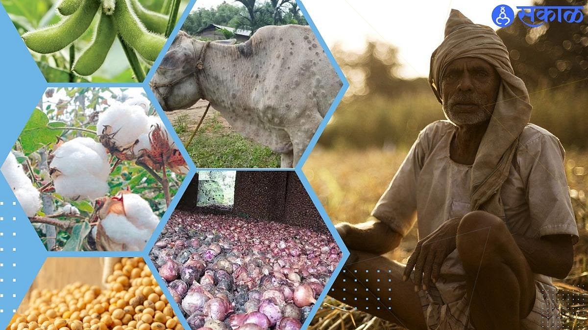 Farmers Diwali : उसवलं गणगोत सारं... आधार कुणाचा नाही