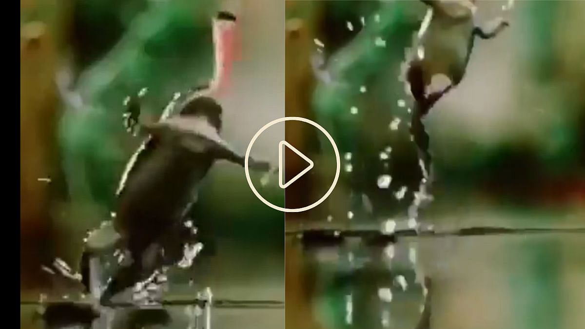 Frog Viral Video : तुमचा डोळ्यांवर बसणार नाही विश्वास, चक्क पतंगाने ...
