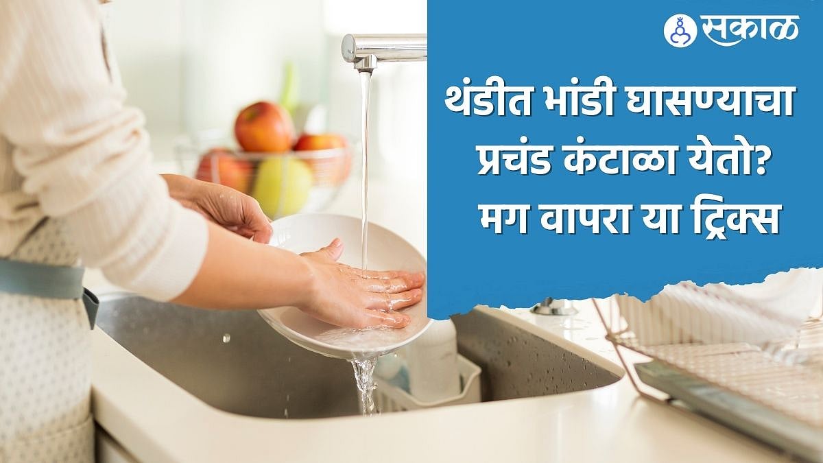 Winter Dishwashing Tips: थंडीत भांडी घासण्याचा प्रचंड कंटाळा येतो? मग ...