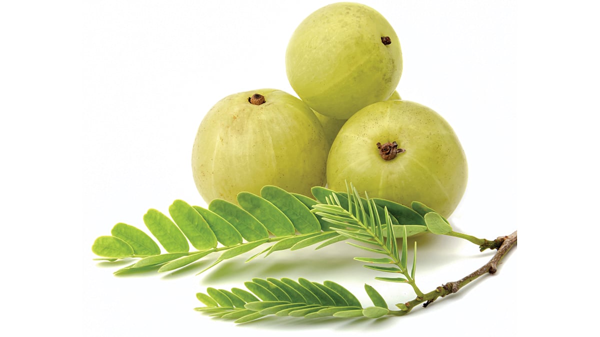 अमृतोपम आवळा!