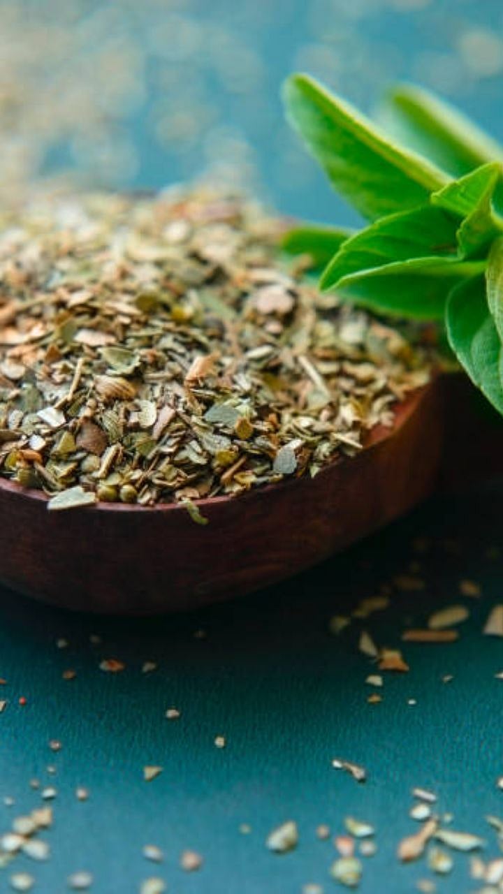 Dry Tulsi Vastu Tips : वाळलेली तुळसही बदलू शकते तुमचं भाग्य