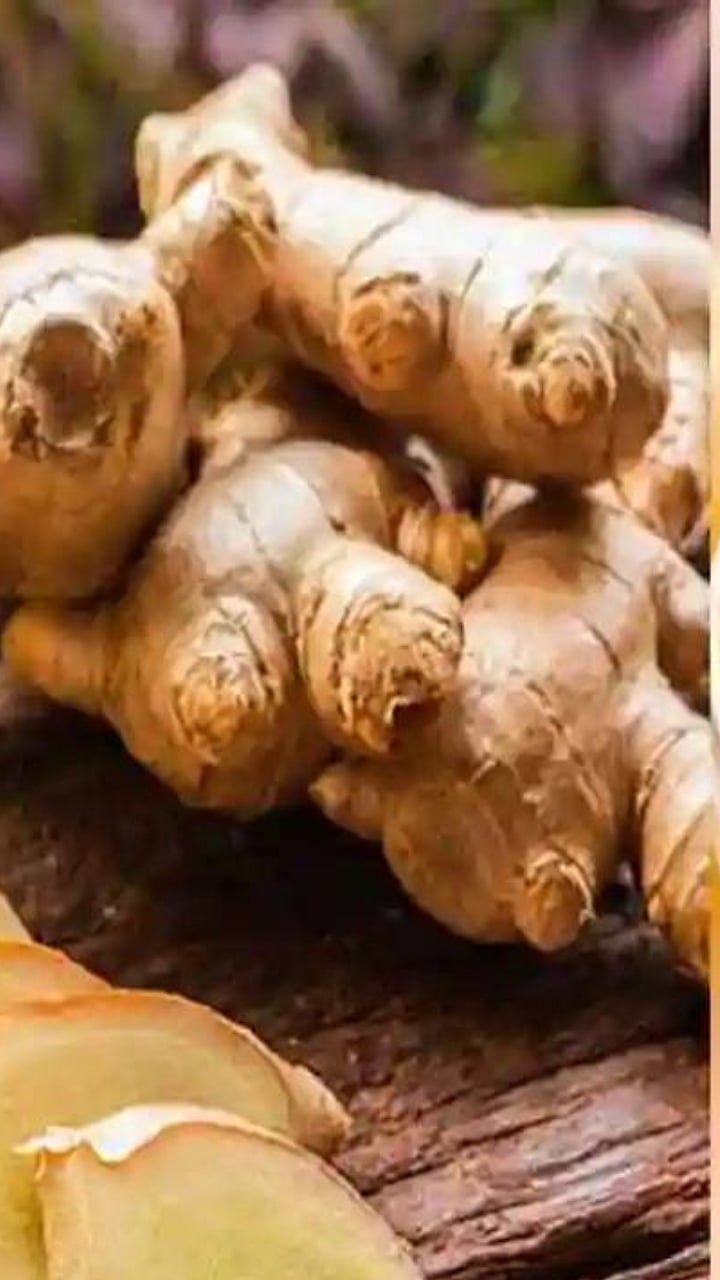 Ginger Storage | आल्याची साठवणूक कशी कराल
