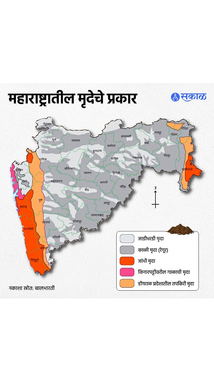 Soil in Maharashtra : महाराष्ट्रात आढळतात 'हे' मृदेचे प्रकार
