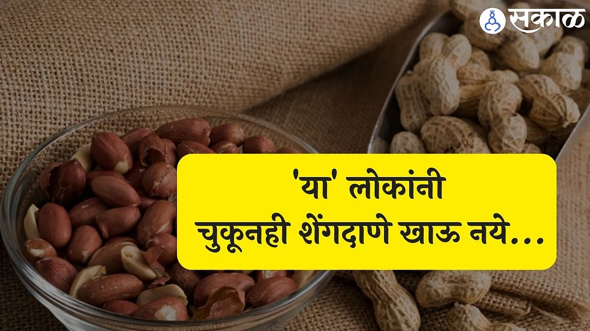 Peanut side effects : 'या' लोकांनी चुकूनही शेंगदाणे खाऊ नये, नाहीतर... Peanut side effects : 'या' लोकांनी चुकूनही शेंगदाणे खाऊ नये, नाहीतर...
