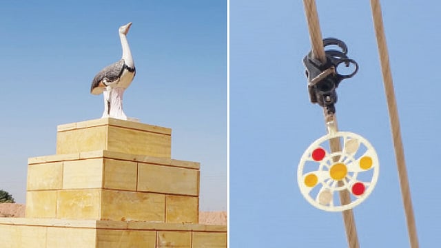 वीजवाहिन्यांचा माळढोकला खतरा!