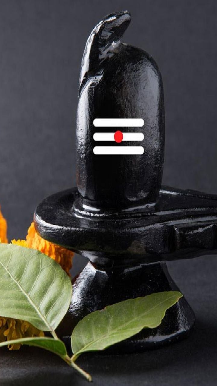 Mahashivratri 2023 : बेलपत्राच्या रसाचे हे फायदे माहितीयेत का l ...