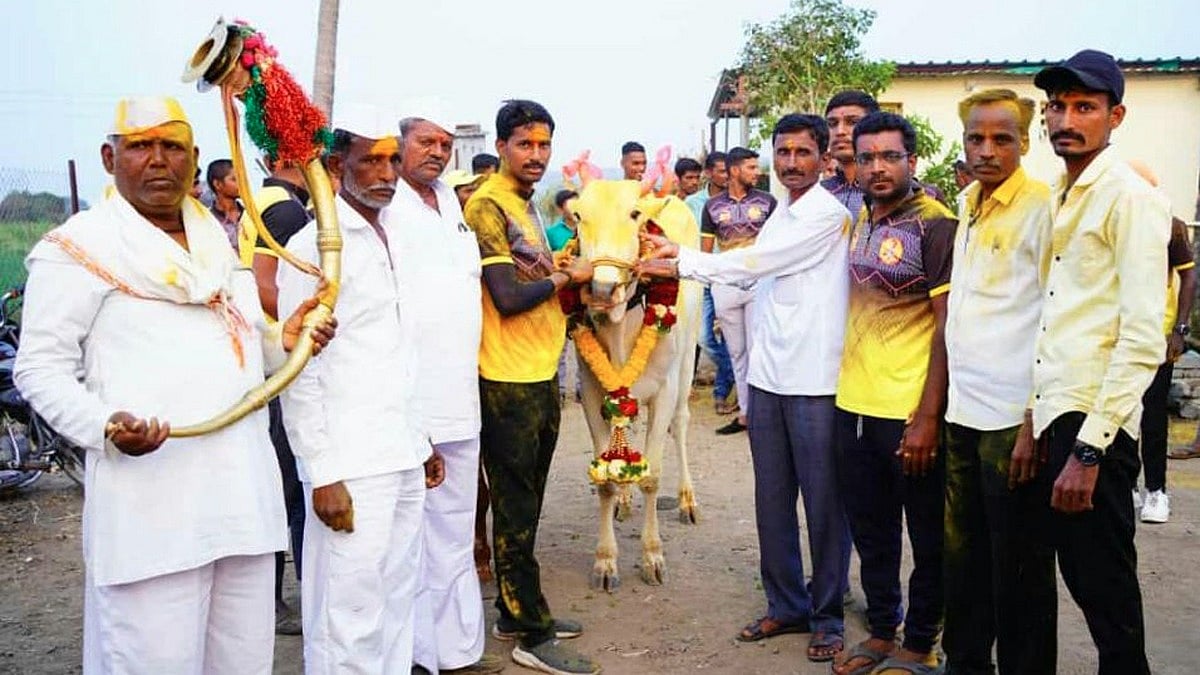 Bail Gada: लक्ष्याची कमाल अन् बैलमालकाची धमाल बैलगाडा शर्यतीत धावणाऱ्या ...