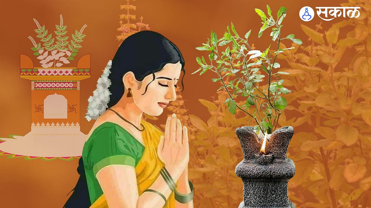 Tulsi Vastu Tips तुळशीचं रोप देईल घरात आरोग्य आणि सौख्य