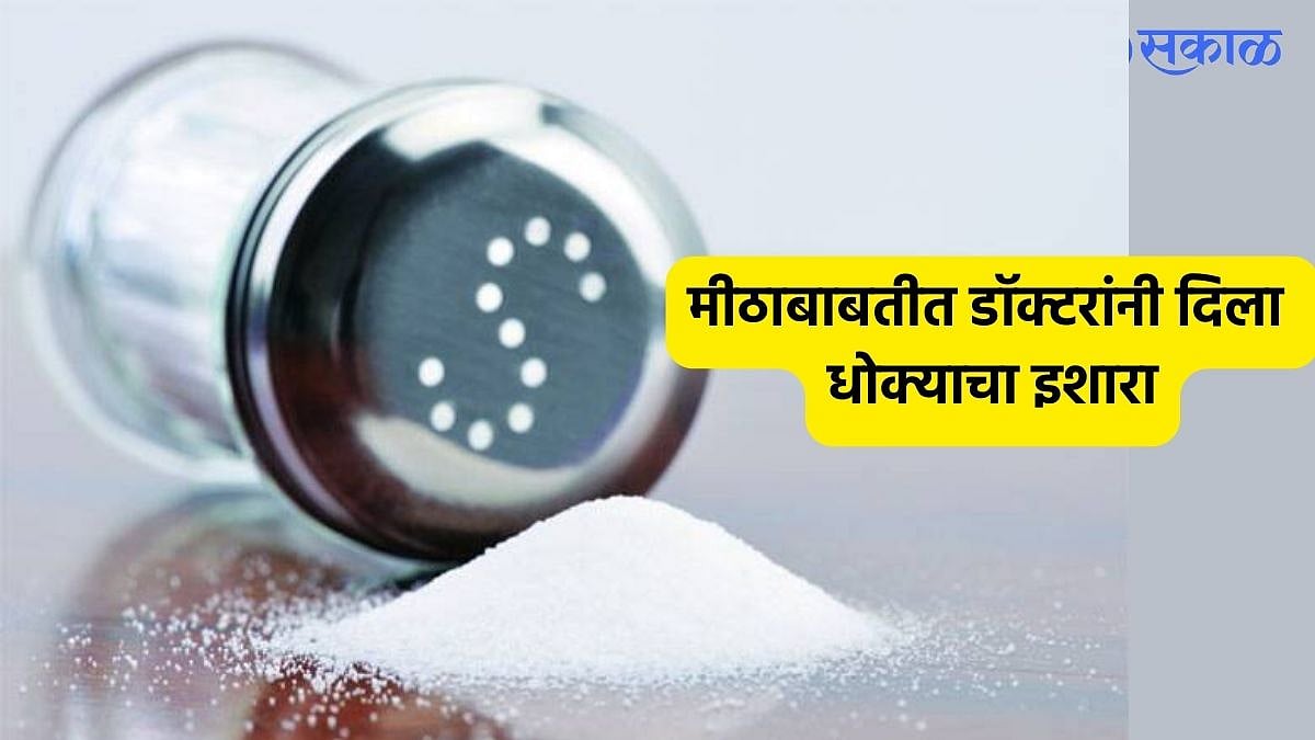 Daily Salt Intake : डॉक्टरांनी दिला धोक्याचा इशारा, ‘एक चुटकी मीठ ...