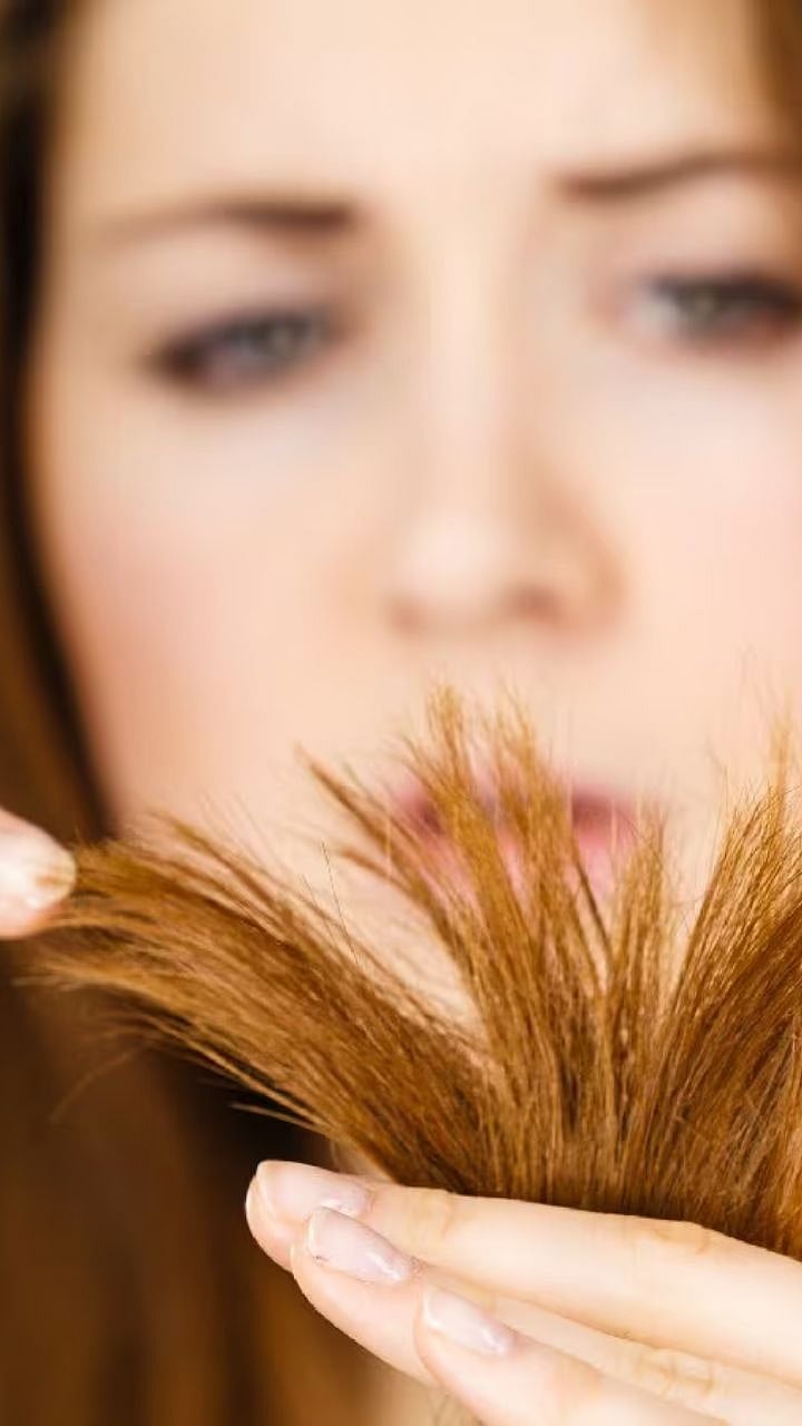 Split Hairs | न कापता दुतोंडी केसांपासून मिळवा मुक्ती