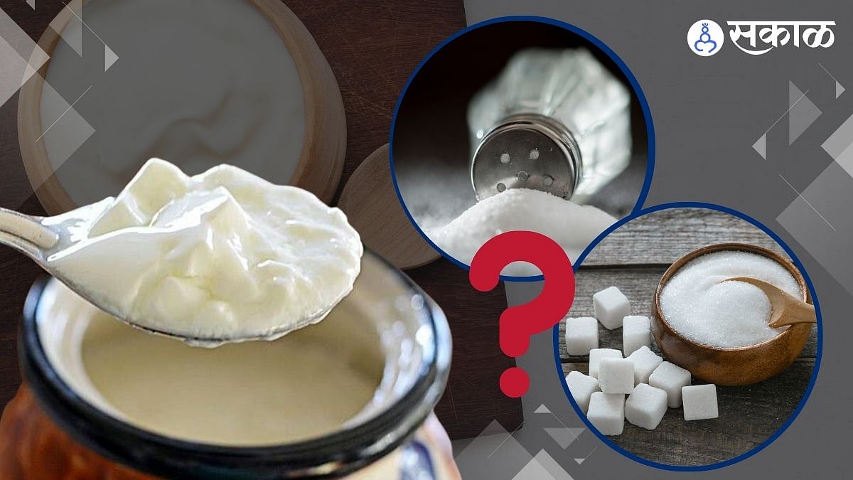 Curd Eating- Health Tips दह्यात मीठ टाकावी वी साखर? काय आहे फायदेशीर ...