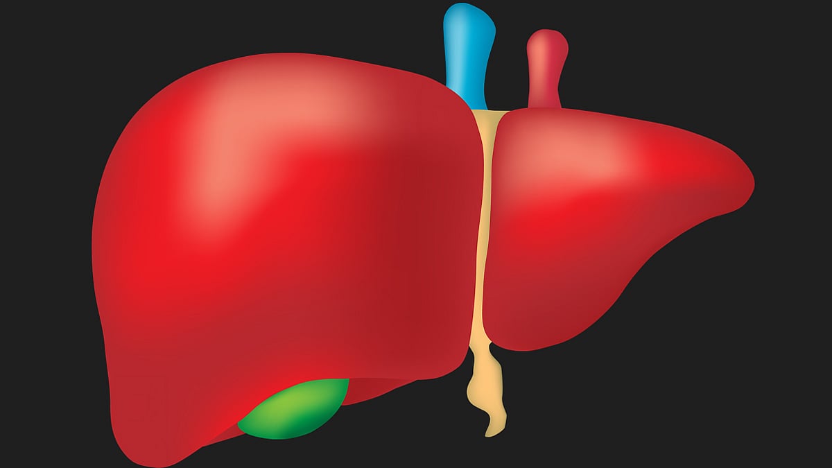 Fatty Lever : ‘फॅटी लिव्हर’ने वाढविली काळजी