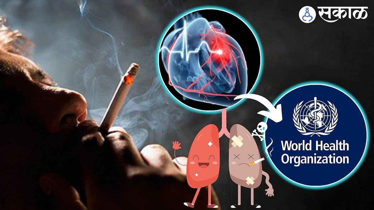 Smoking Effects- धुम्रपानामुळे Heart होवू शकत कमकुवत आणि जाड, काय ...