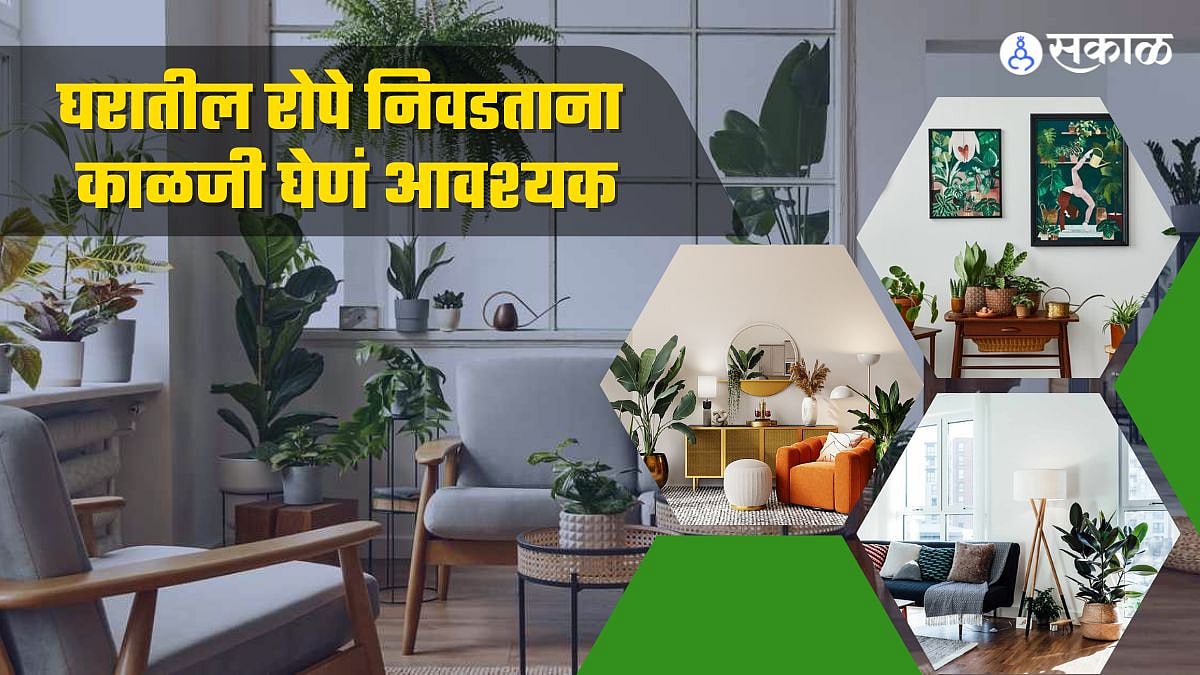 Home Decor- तुमच्या घरात आणा जिवंतपणा; अले करा घराचे Decoration