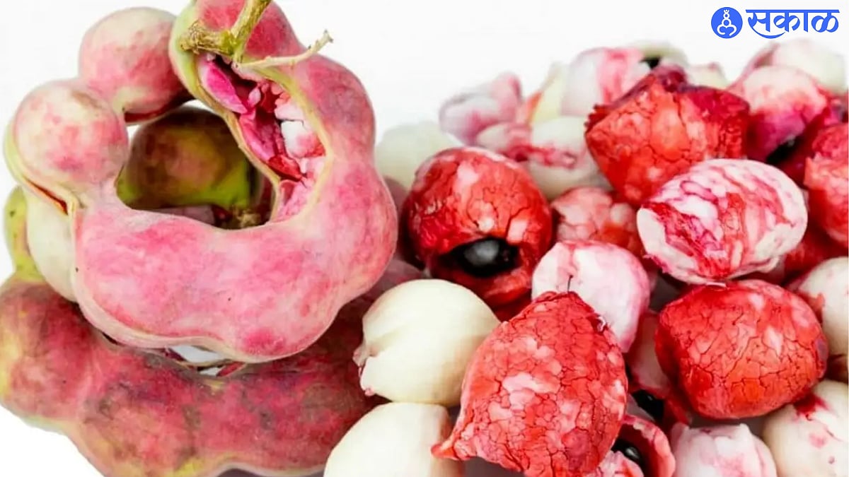 English Chinch Benefits : कोलेस्ट्रॉल, मधुमेह नियंत्रित ठेवण्यासाठी ...