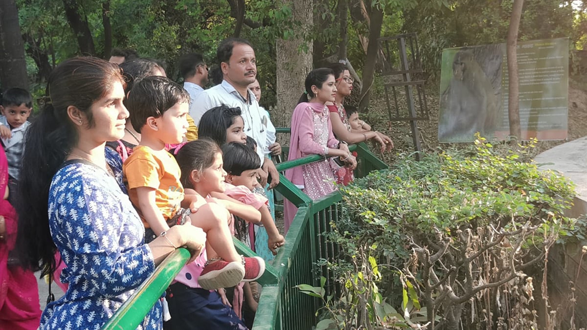 Katraj Zoological Museum : कात्रज प्राणी संग्रहालयात सुट्यांमुळे गर्दी ...