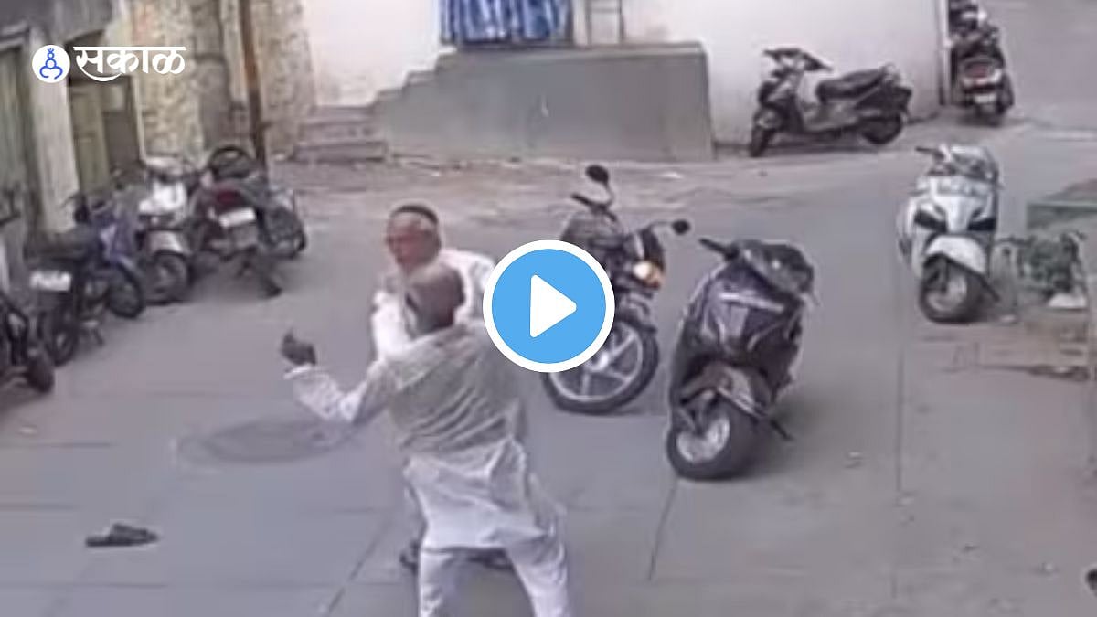Viral Video : वयावर जाऊ नका! दोन म्हाताऱ्यांची फ्री स्टाईल हाणामारी ...