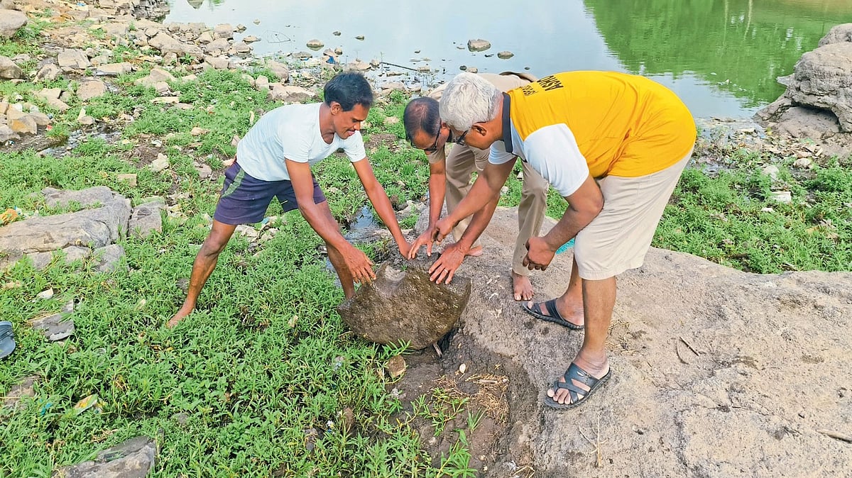Raigad : उल्हास नदीपात्रात सापडली पुरातन मूर्ती Raigad Ulhas river ...