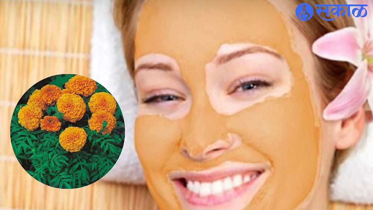 Skin Lightening Face Mask: त्वचा उजळण्यासाठी झेंडूचे फूल चेहऱ्यावर लावा ...