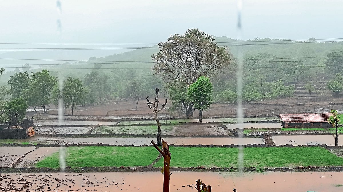 Ratnagiri : मंडणगडात पावसाची दमदार सुरुवात;बळीराजा सुखावला Ratnagiri ...