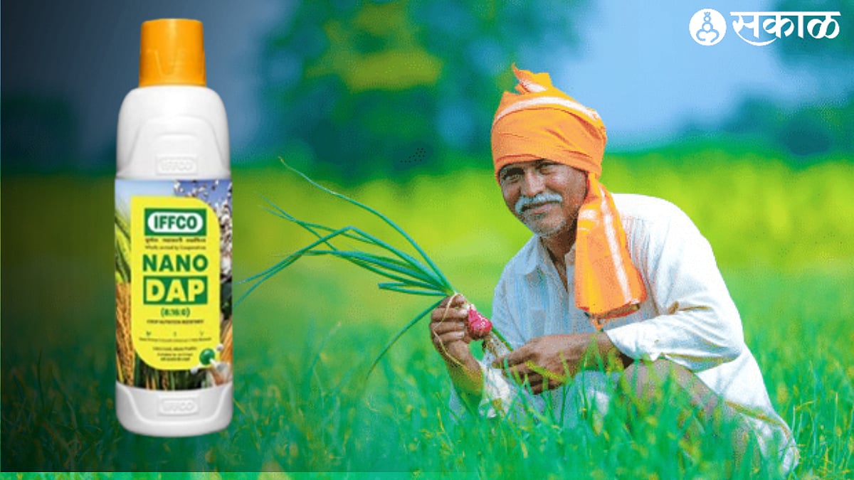 Nano DAP Fertilizer: नॅनो युरियानंतर आता नॅनो डीएपी शेतकऱ्यांना तारणार ...