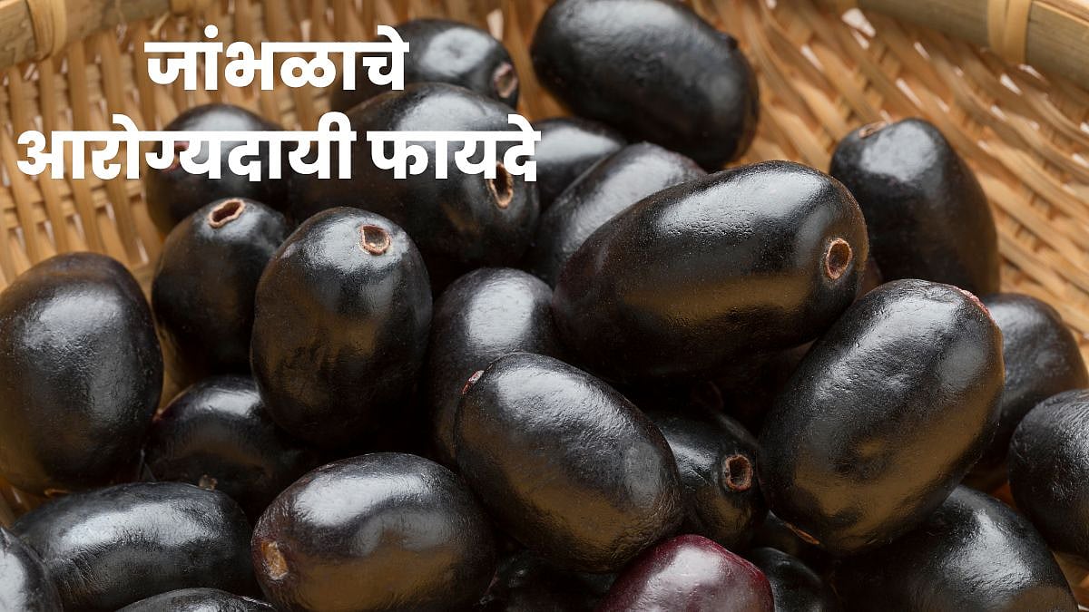 Jamun Health Benefits: जांभळाचे आरोग्यदायी फायदे, फळच नाही तर बी आणि ...