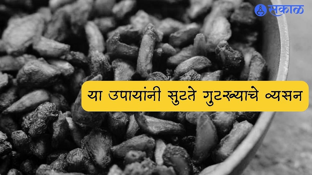 Gutka Eating Habit : गुटख्याचं व्यसन सोडवणं अशक्यच?, एकदा ही प्रभावी ...