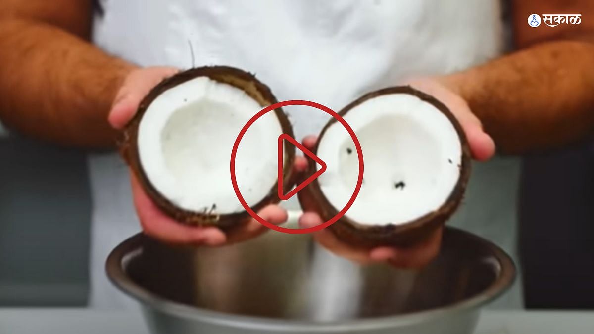 Coconut Breaking Trick : अय्यो, नारळ एवढ्या सहजही फोडता येतं..! जाणून ...