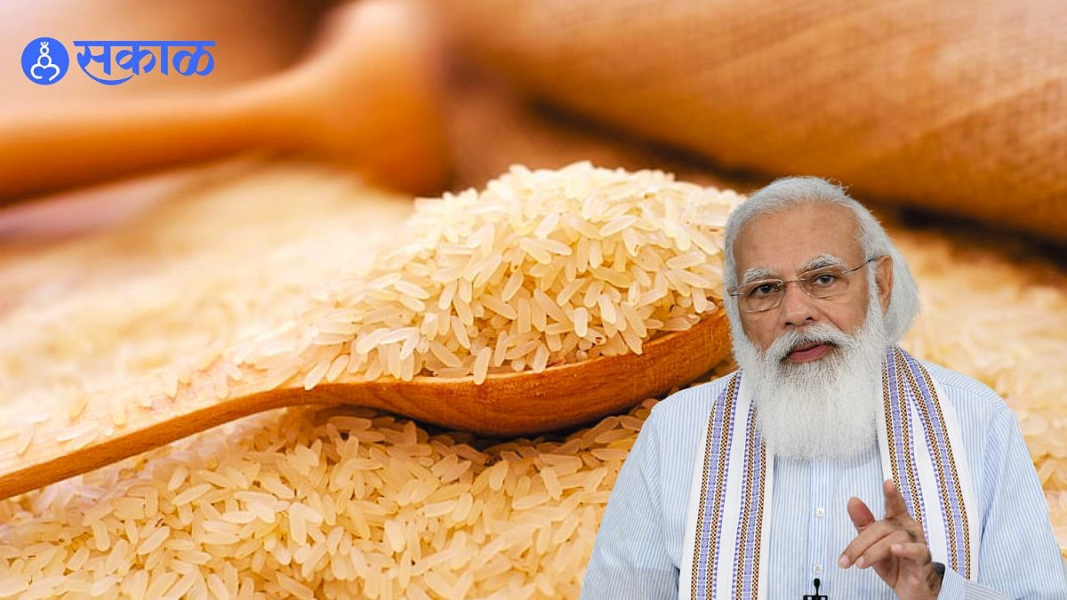 भारताचा तांदुळ मिळेना, अमेरिकेत लोकांचे हाल; IMFची मोदींना 'ही' कळकळीची ...