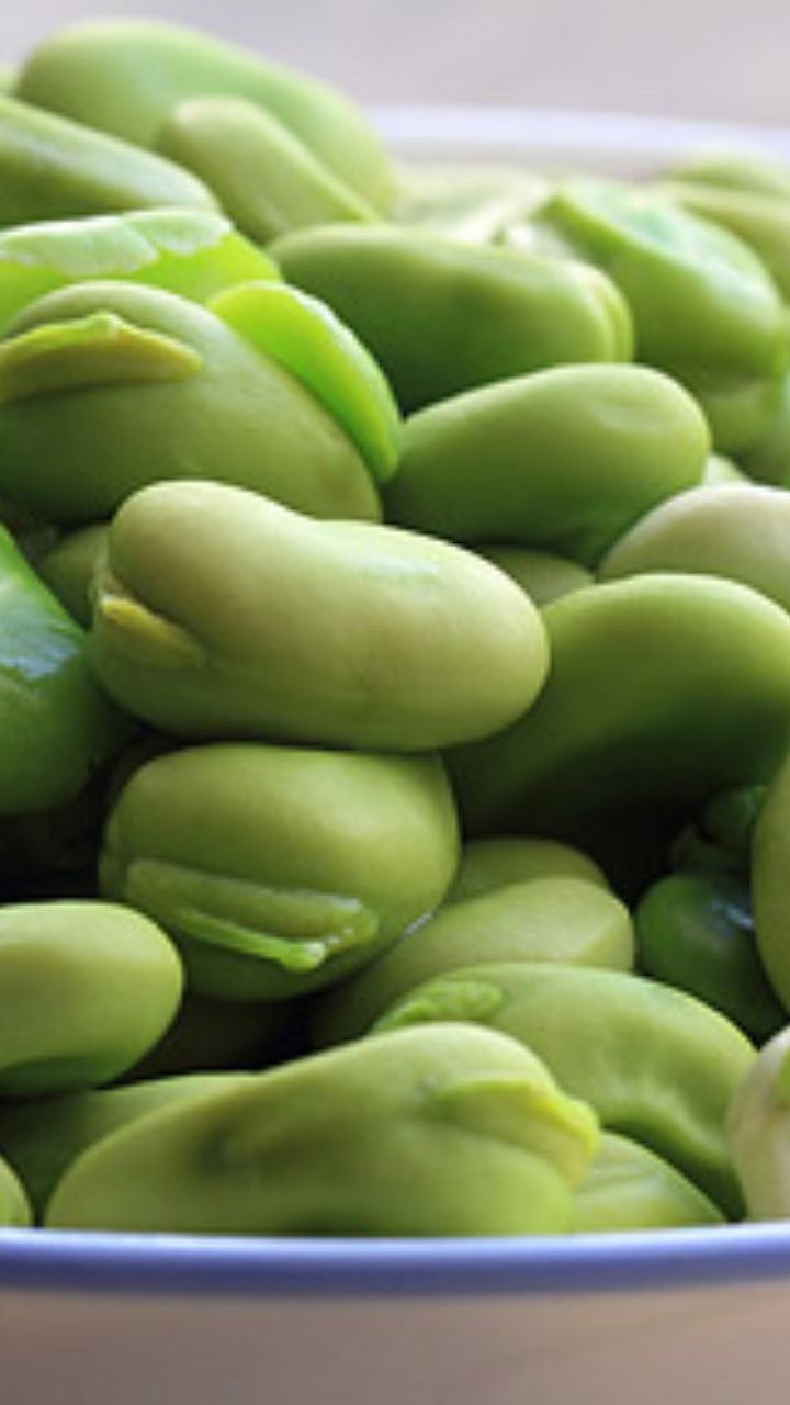 कधी हिरवा राजमा खाल्लाय का? जाणून घ्या फायदे l green kidney beans rajma ...