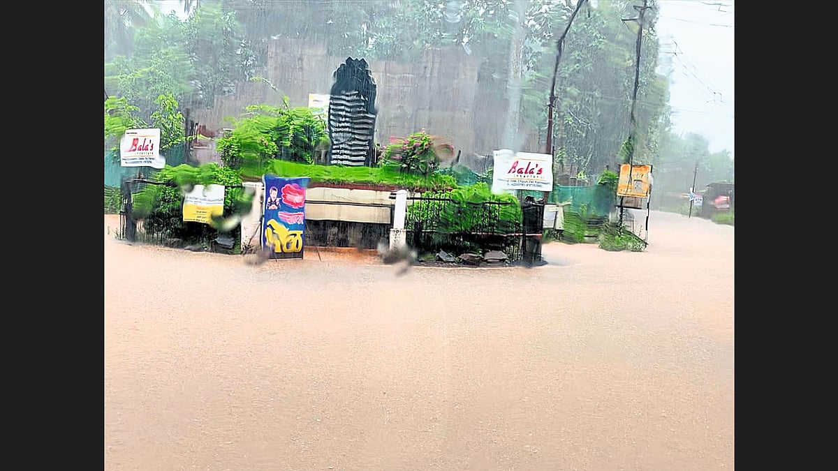 Chiplun Rain : पुराच्या भितीने नागरिकांनी रात्र काढली जागून; अनेकांचे ...