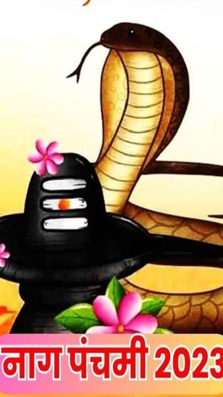नागपंचमीला जिवती पूजन का करतात l Jivti Pooja nag panchami shravan ...