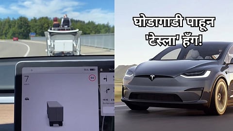 अचानक समोर आली घोडागाडी, अन् टेस्लाची हायटेक कार झाली हँग! पाहा व्हिडिओ ...