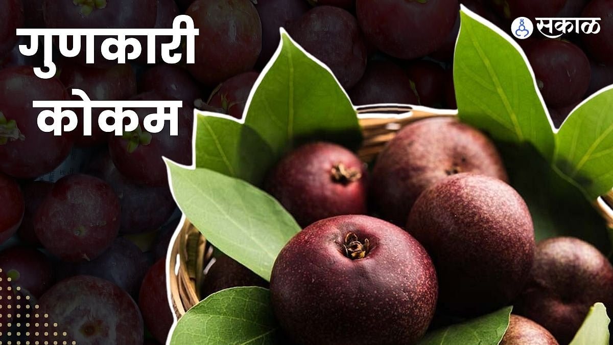 Kokam For Health- कोकमाचे हे फायदे तुम्हाला ठाऊक आहेत का? हृदय आणि ...